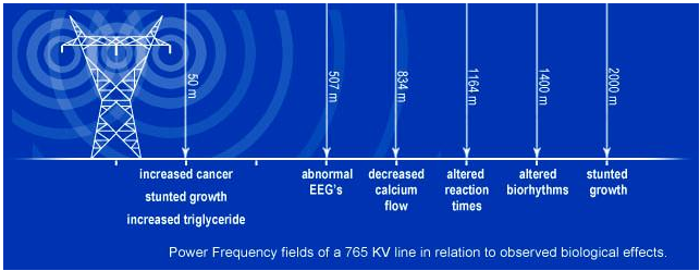 العيش بالقرب من خطوط الطاقة: ما الآثار الصحية؟ – ترجمة* حسين مكي المحروس** – علوم القطيف